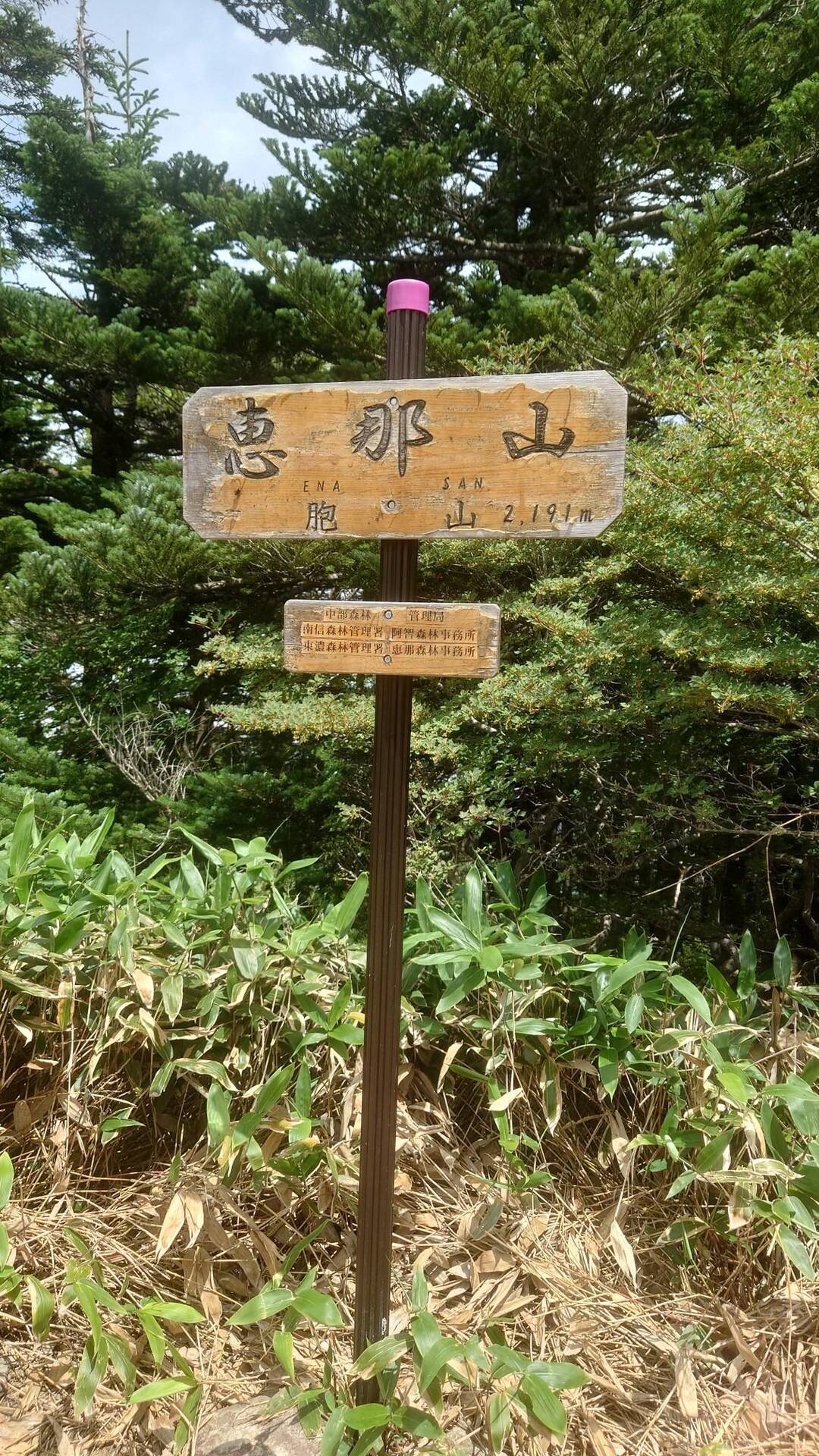 阿智セブンサミット（恵那山） / mriさんの恵那山・大判山・神坂山の活動データ | YAMAP / ヤマップ