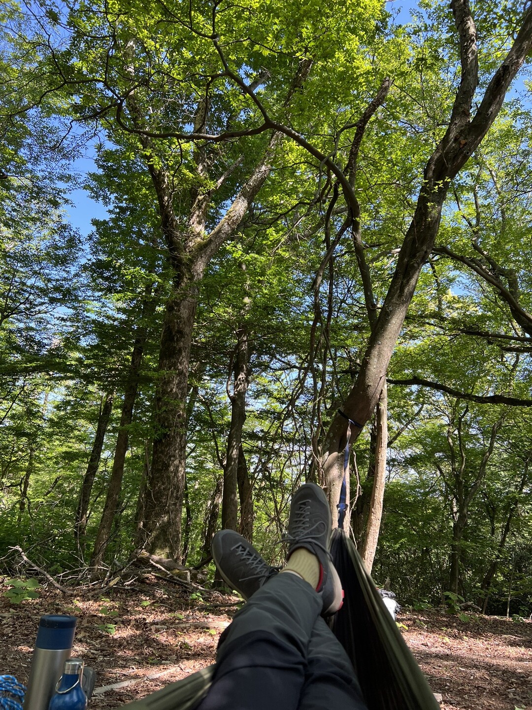 ゆらゆら ハンモックタイム 最高♡ / aoさんのモーメント | YAMAP / ヤマップ