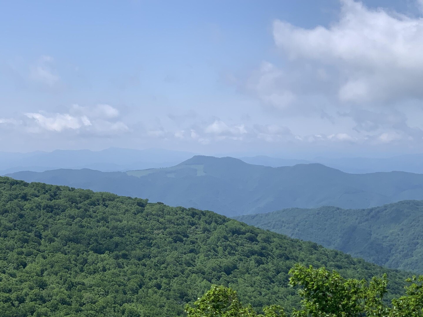 R5.6.17① 遠島山 / あおかつさんの遠島山の活動データ | YAMAP / ヤマップ