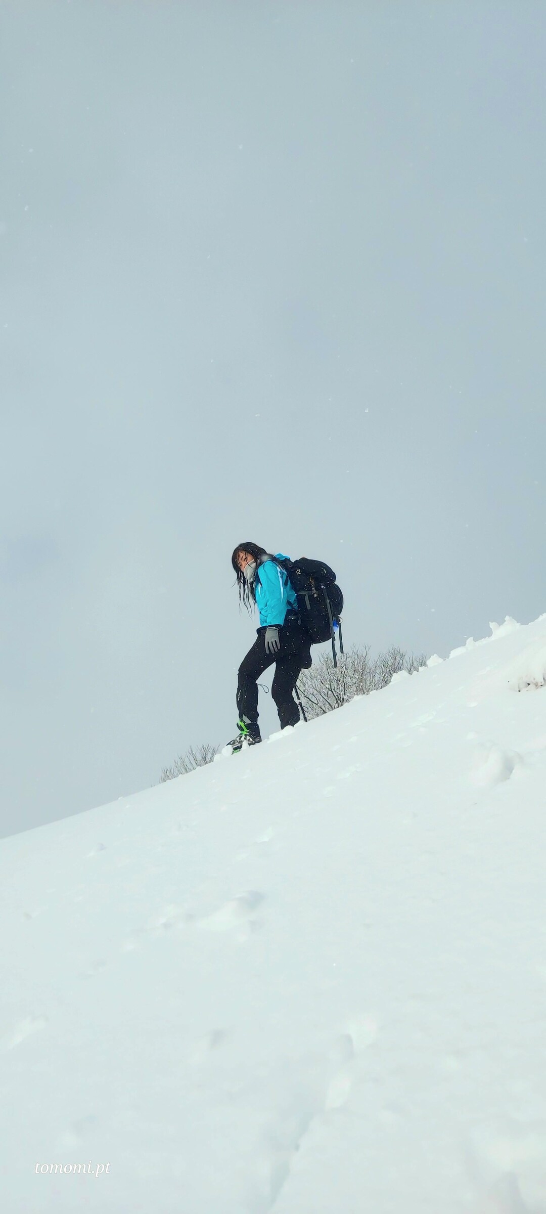 ちょっと権現山 / tmmさんの比良山地・武奈ヶ岳・釈迦岳の活動データ | YAMAP / ヤマップ