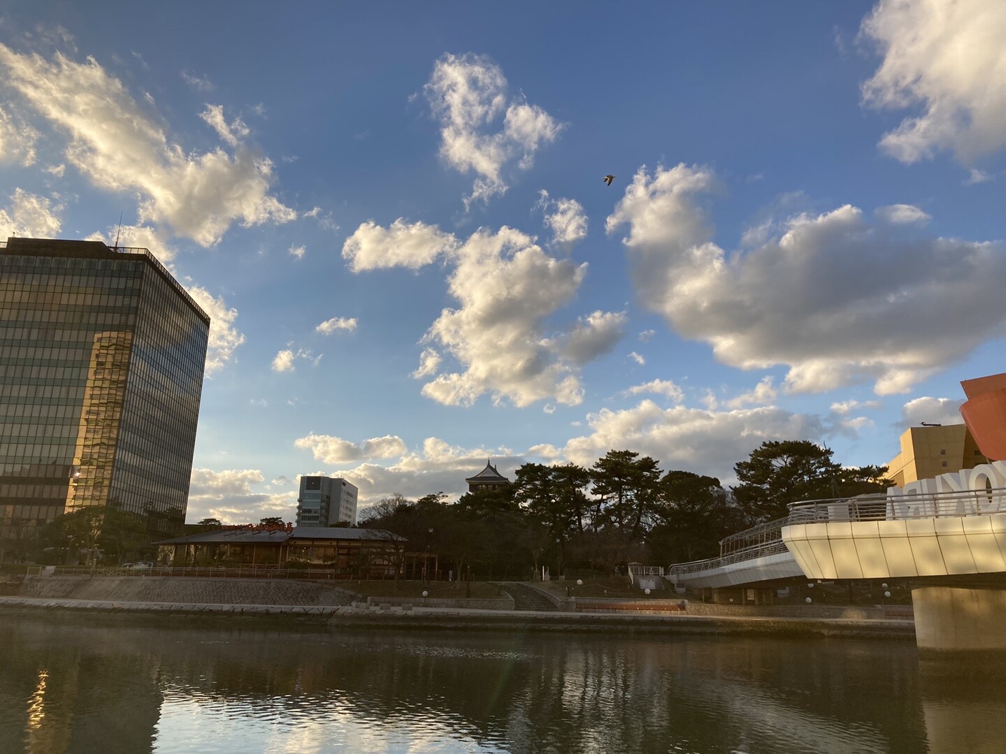 2022.1.2 リバーサイド(紫川) / K.Oさんのモーメント | YAMAP / ヤマップ