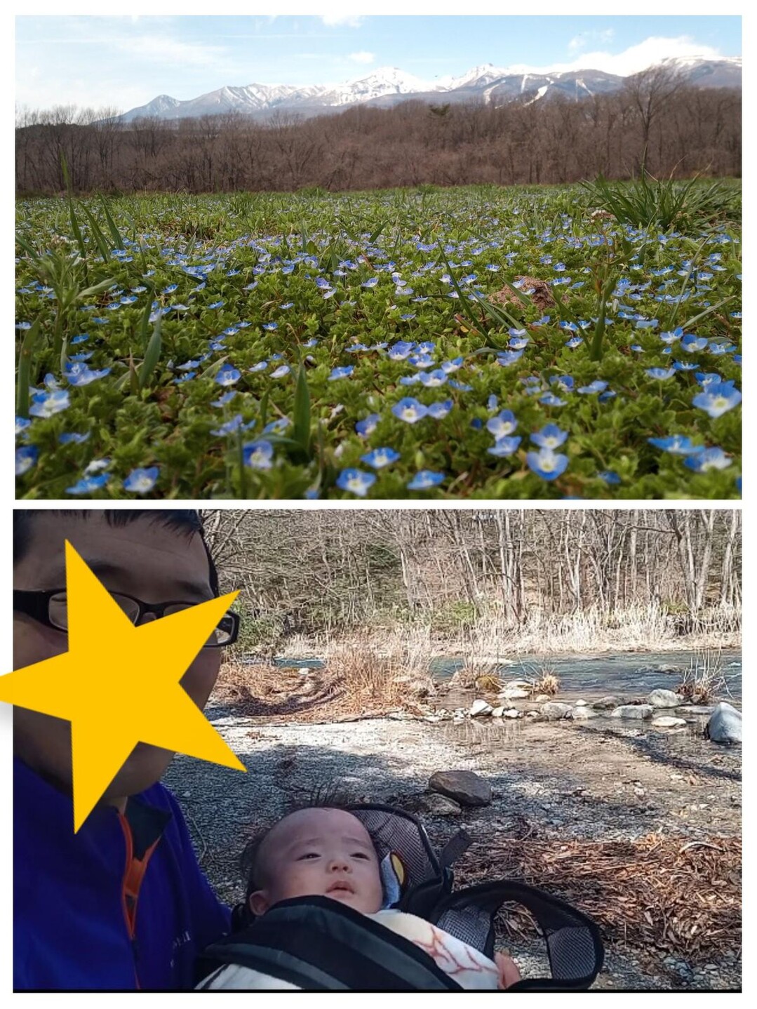 3.27はこれからは、より、特別な日 I... / Iwanekoさんのモーメント | YAMAP / ヤマップ