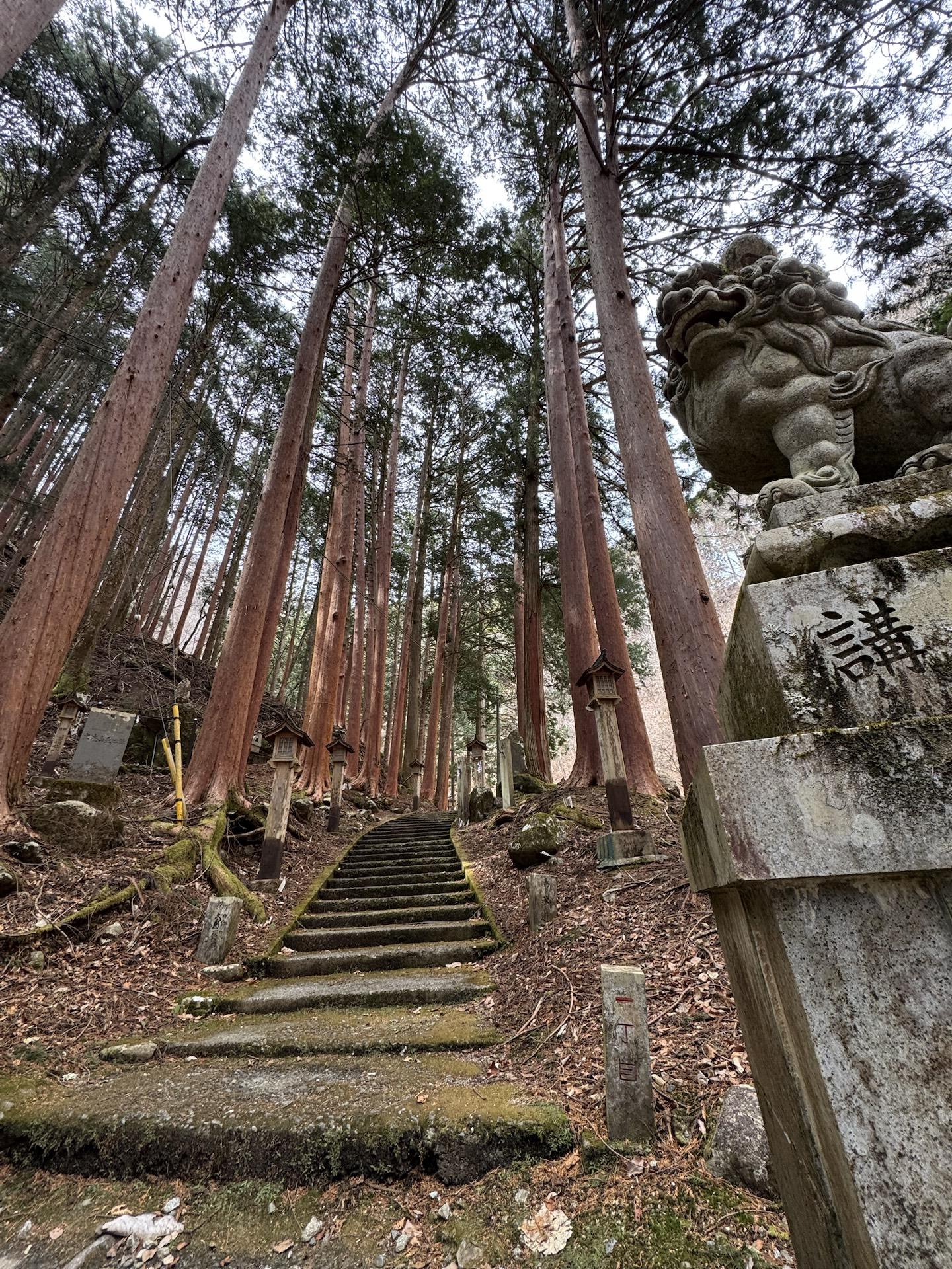 DAITAKESANNAGATOJINJ... / nahohoさんのモーメント | YAMAP / ヤマップ