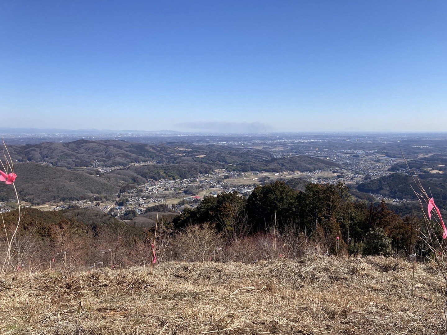 弓立山 病み上がりでも何処かの山へ / tae0218さんのハイキングの活動データ | YAMAP / ヤマップ