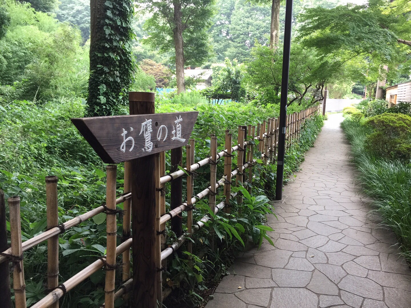 国分寺 史跡散歩 / manmaruさんの国分寺市の活動データ | YAMAP / ヤマップ