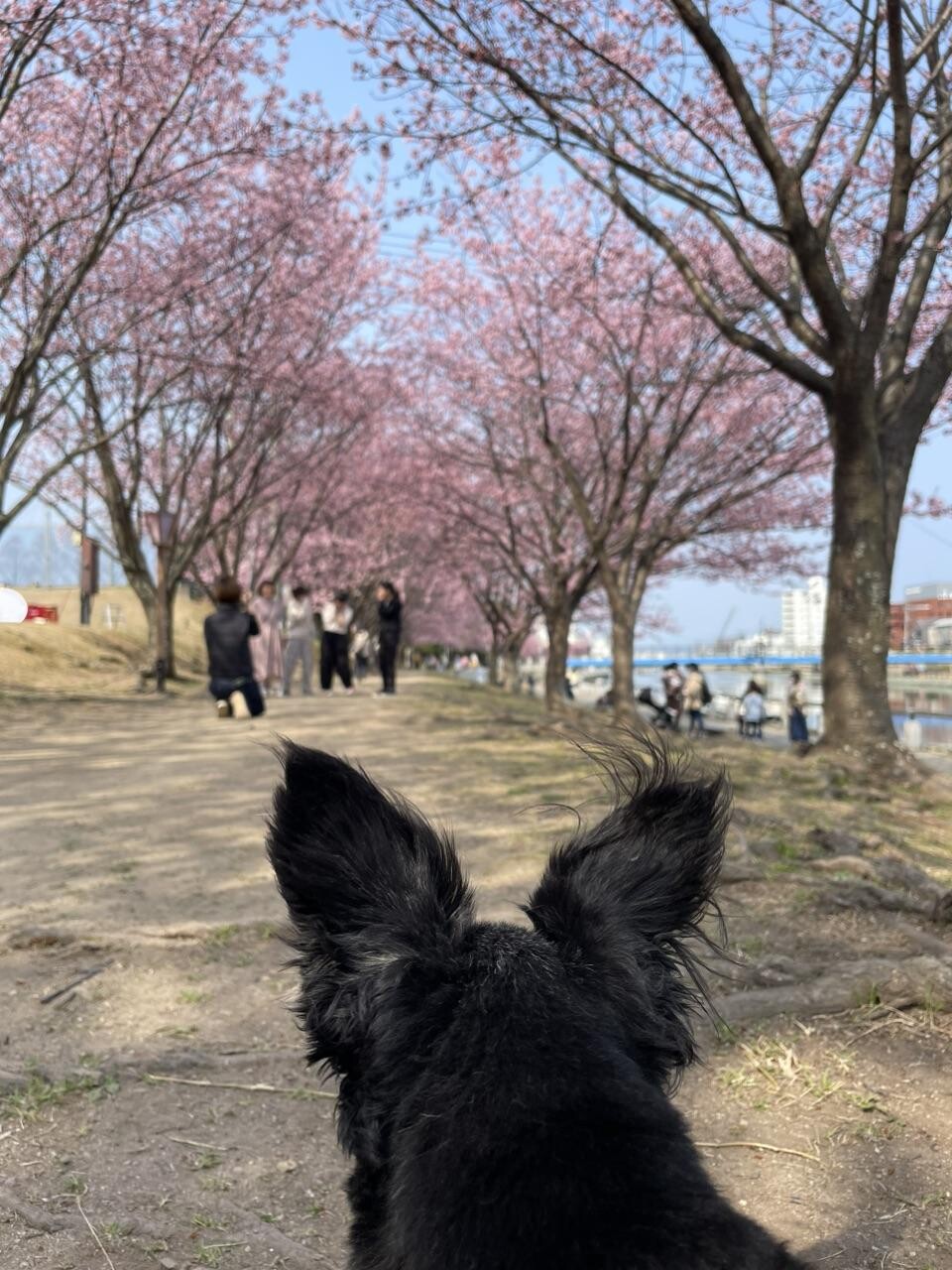 HEIGAN のページ | YAMAP / ヤマップ