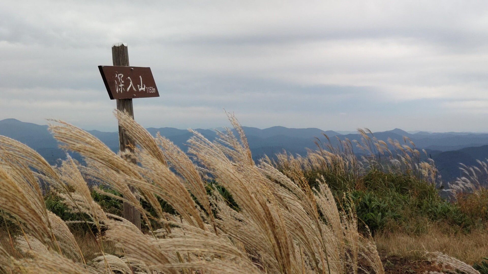 深入山-2023-10-03 / NOBUさんの深入山の活動データ | YAMAP / ヤマップ