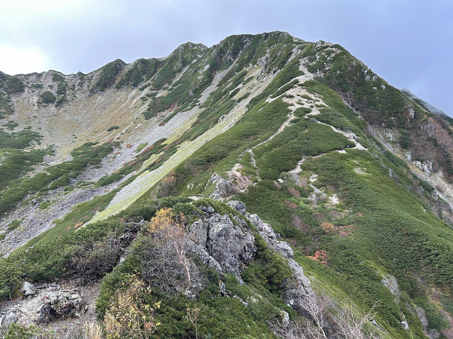 小仙丈ヶ岳・仙丈ヶ岳 / Kuさんの仙丈ヶ岳・伊那荒倉岳の活動データ | YAMAP / ヤマップ