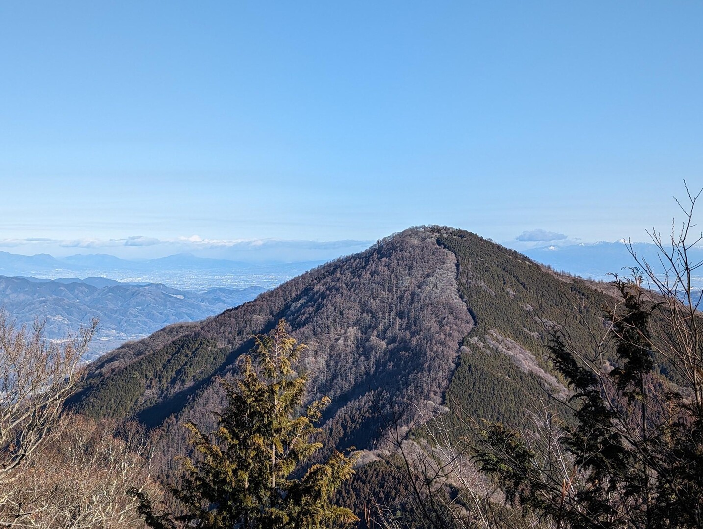 武甲山・小持山・大持山・横倉山 / TWOさんの武甲山・伊豆ヶ岳・小持山の活動データ | YAMAP / ヤマップ