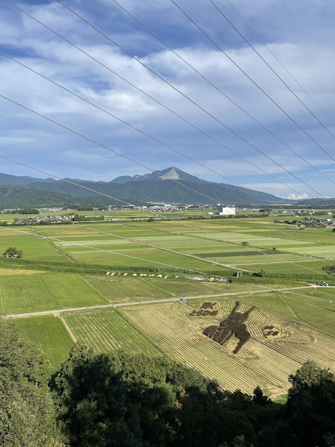 虎御前山 (木下秀吉陣跡) / ha-saさんの小谷山・虎御前山の活動データ | YAMAP / ヤマップ