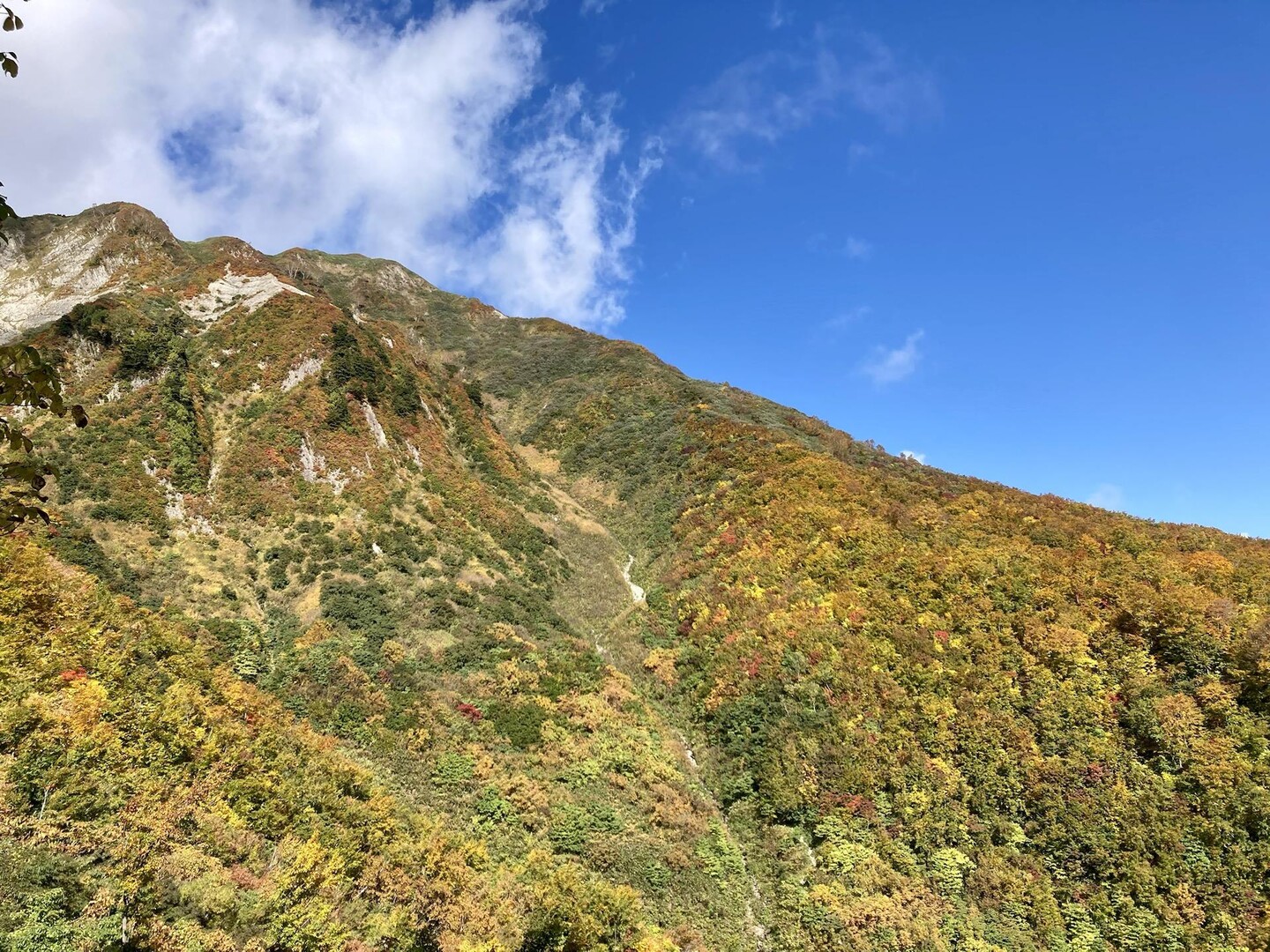 雨飾山 / sayaさんの雨飾山・大渚山・天狗原山・戸倉山の活動データ | YAMAP / ヤマップ