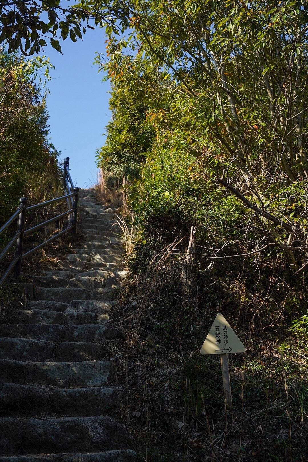 井野山 / fuku-sanさんの井野山の活動データ | YAMAP / ヤマップ