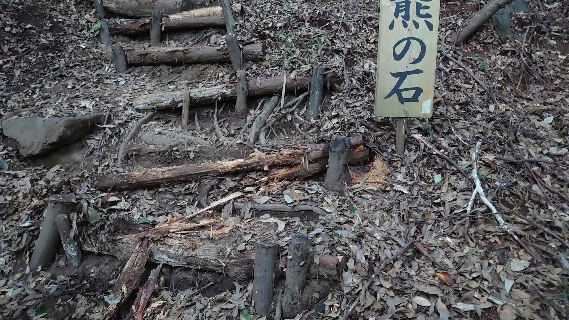 TKYMさんの投稿したフィールドメモ | YAMAP / ヤマップ