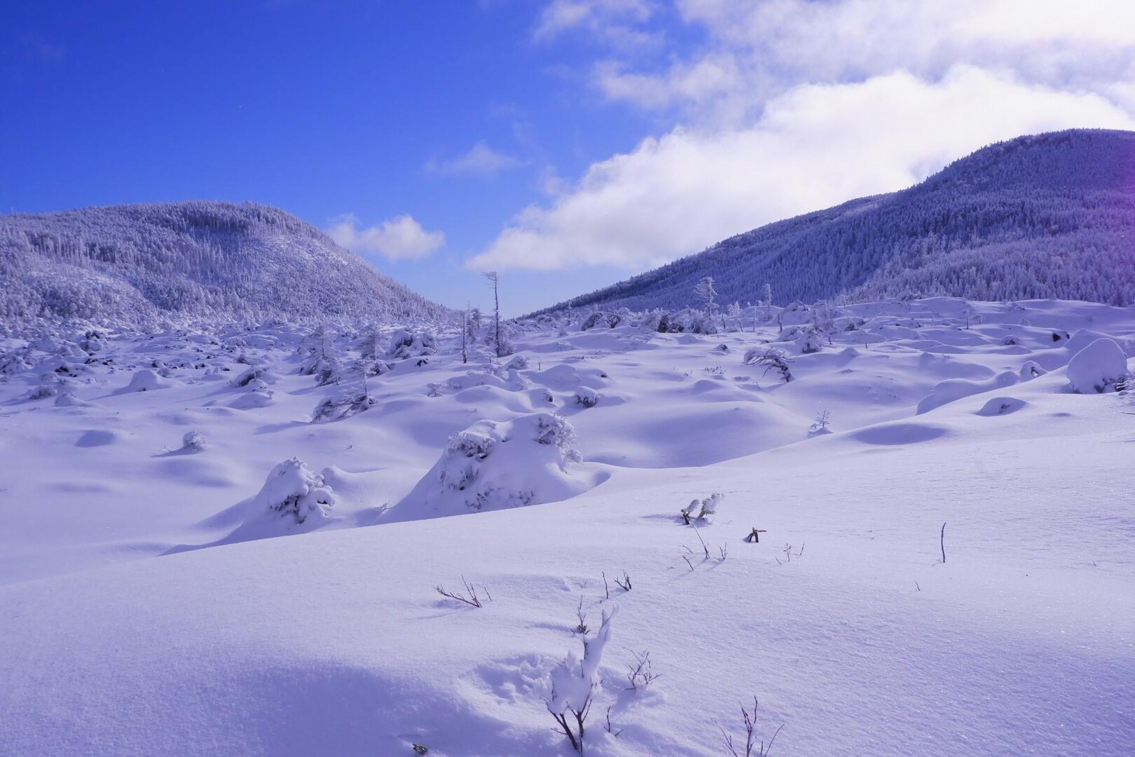 北横岳 / blueskyさんの蓼科山・横岳・縞枯山の活動データ | YAMAP / ヤマップ