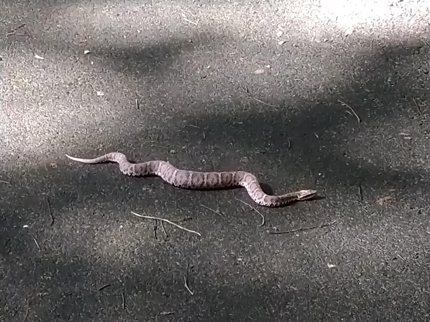 bambooさんの投稿したフィールドメモ | YAMAP / ヤマップ