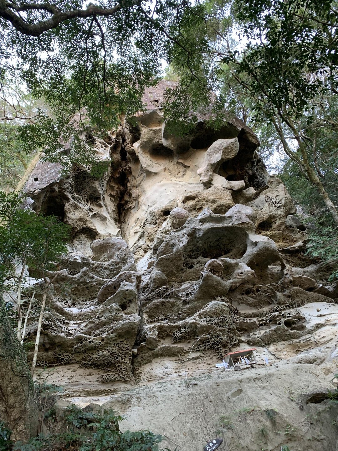 2nd 双石山 ️国富町の仲間達と / tomiさんの双石山・花切山・岩壺山の活動データ | YAMAP / ヤマップ