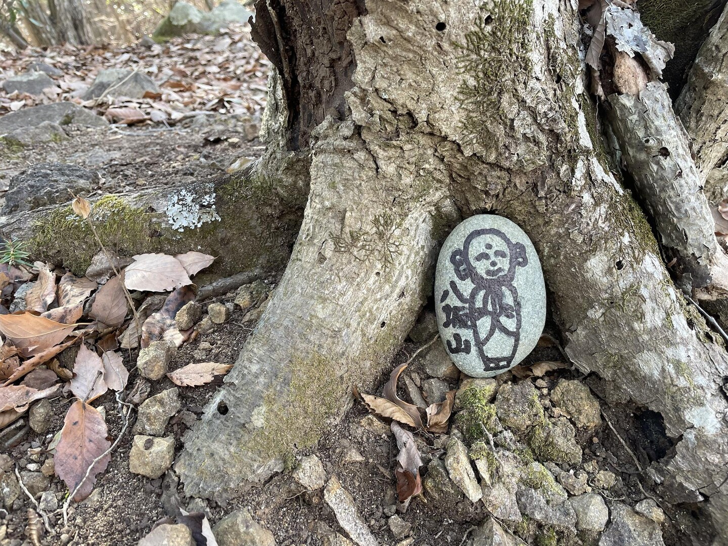 日連アルプス−やまなみ温泉♨️新年会 / mieさんの石老山・ 石砂山の活動データ | YAMAP / ヤマップ