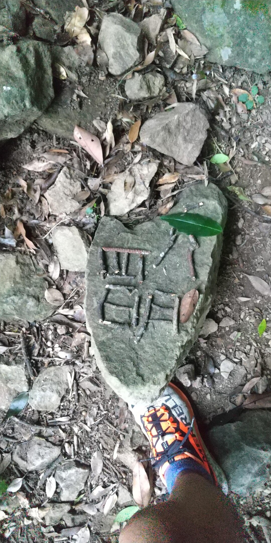 粟ヶ岳369 / うっちぃさんの粟ヶ岳の活動データ | YAMAP / ヤマップ