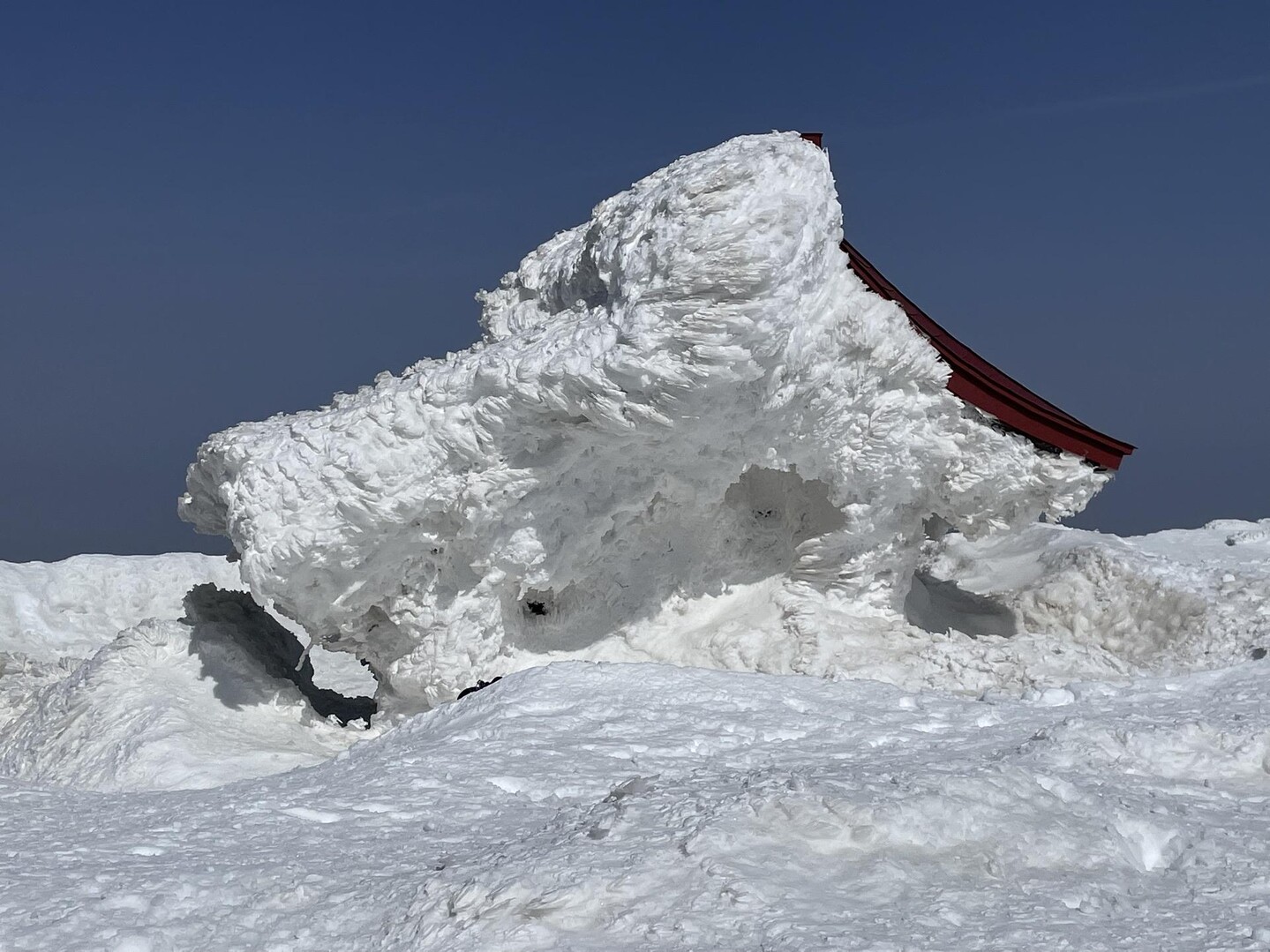 ドイツからのお客様をご案内 / hitomiさんの蔵王山・雁戸山・不忘山の活動データ | YAMAP / ヤマップ