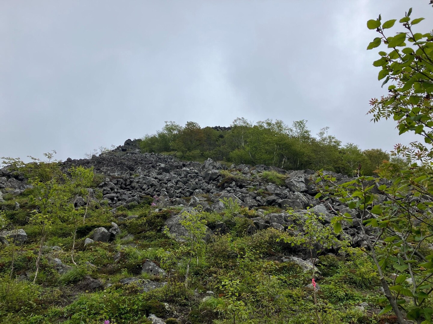 岩石山・白雲山 / 747A/Cさんの東ヌプカウシヌプリ・西ヌプカウシヌプリの活動データ | YAMAP / ヤマップ
