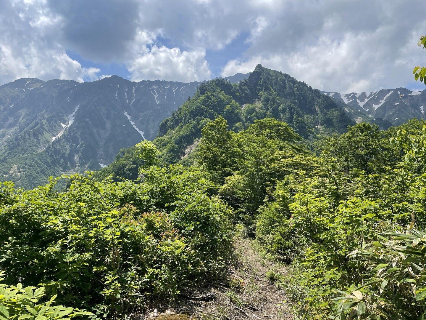 荒沢岳 / Yuminaさんの越後駒ヶ岳・八海山・荒沢岳の活動データ | YAMAP / ヤマップ