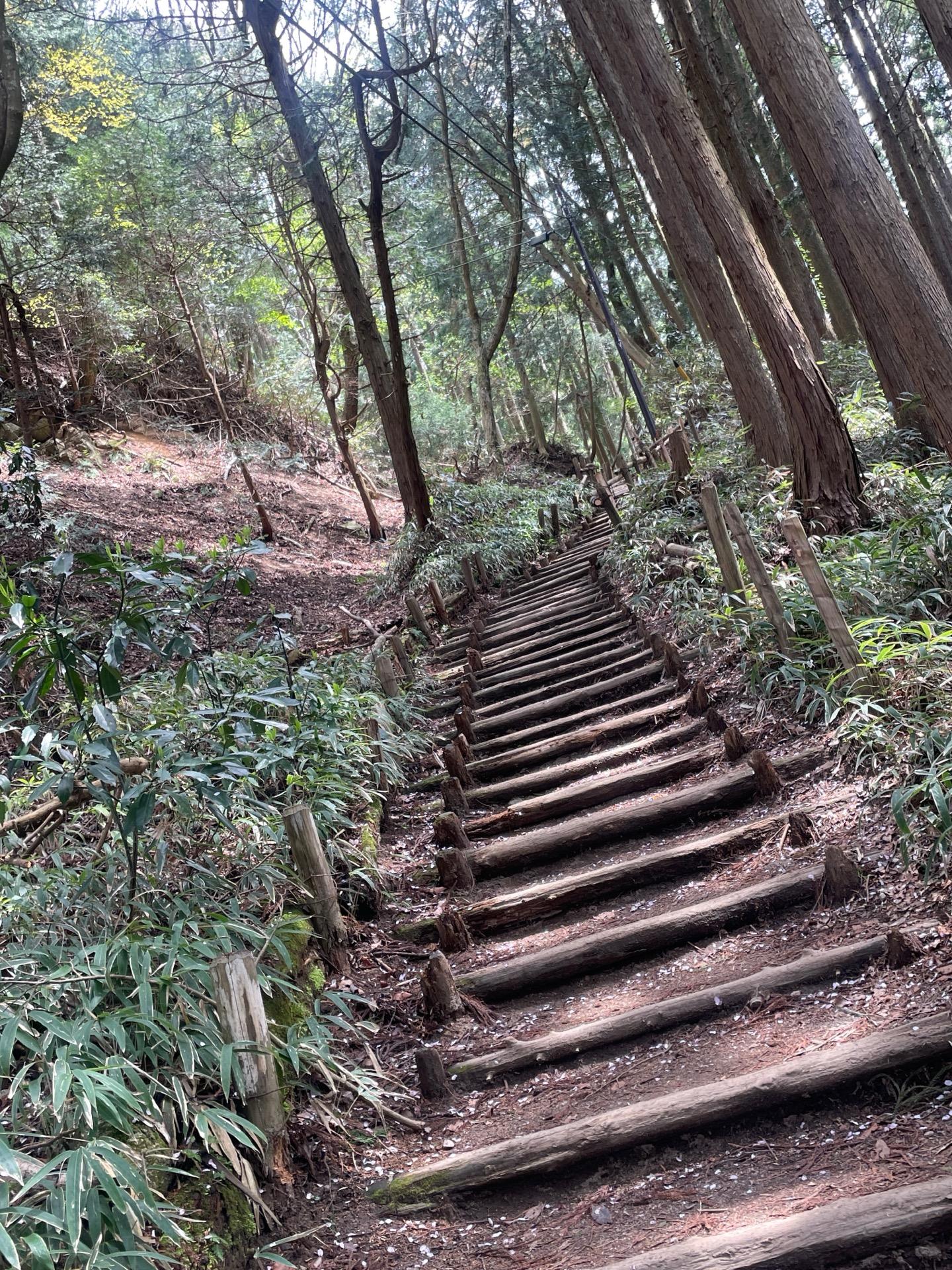 金剛山10回目💪 / cocoさんの金剛山・二上山・大和葛城山の活動データ | YAMAP / ヤマップ