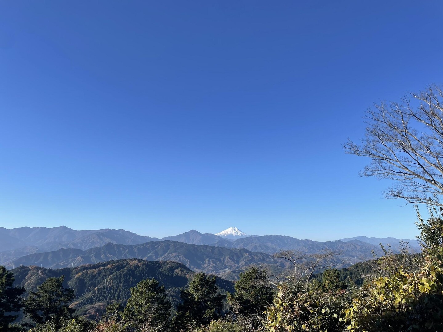 高尾山 6号路と自然研究路2号路、琵琶滝コース / YOU1さんの高尾山・陣馬山・景信山の活動データ | YAMAP / ヤマップ