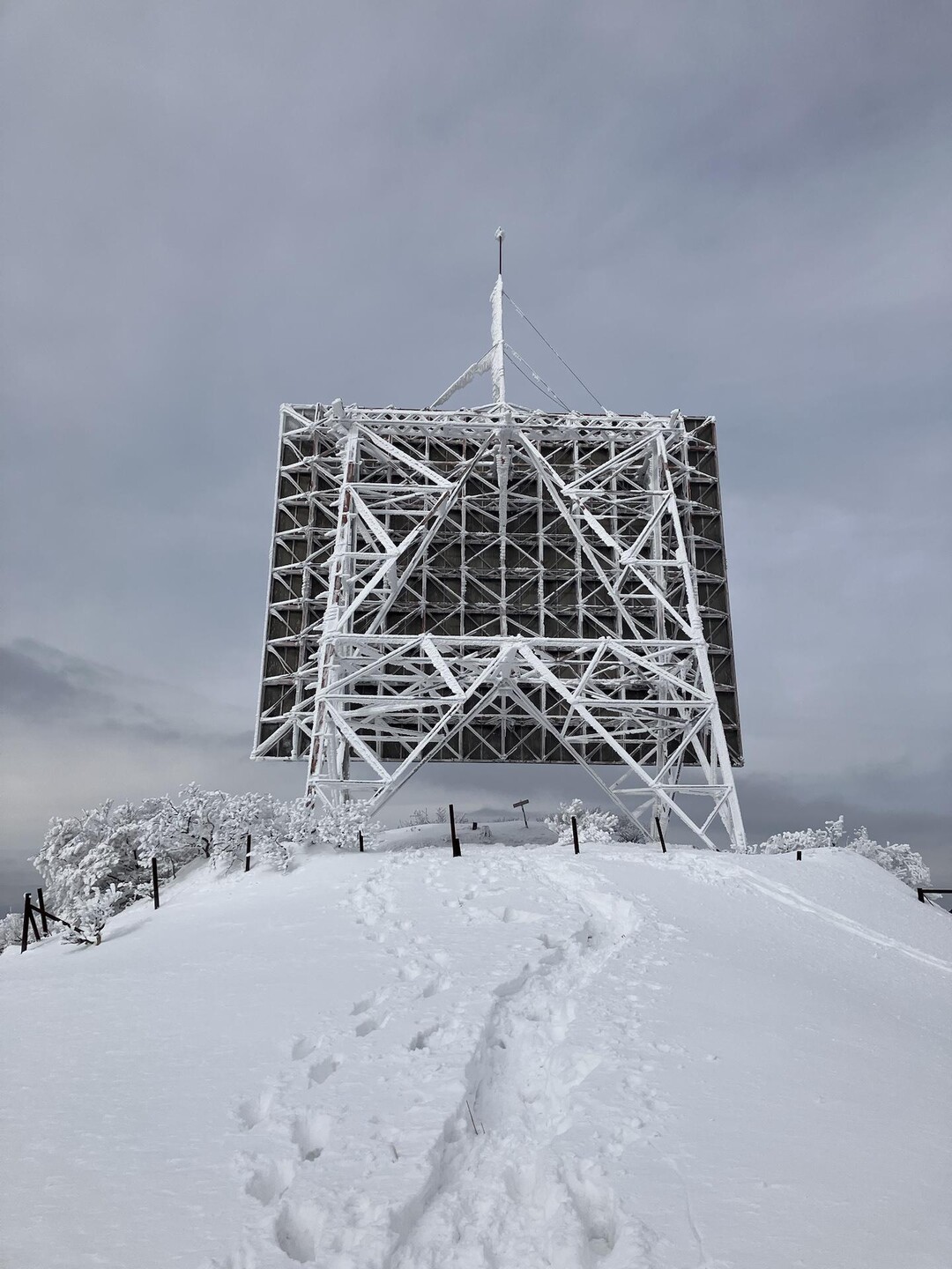 堂ヶ森 保井野から / kaiさんの石鎚山・堂ヶ森・二ノ森の活動データ | YAMAP / ヤマップ