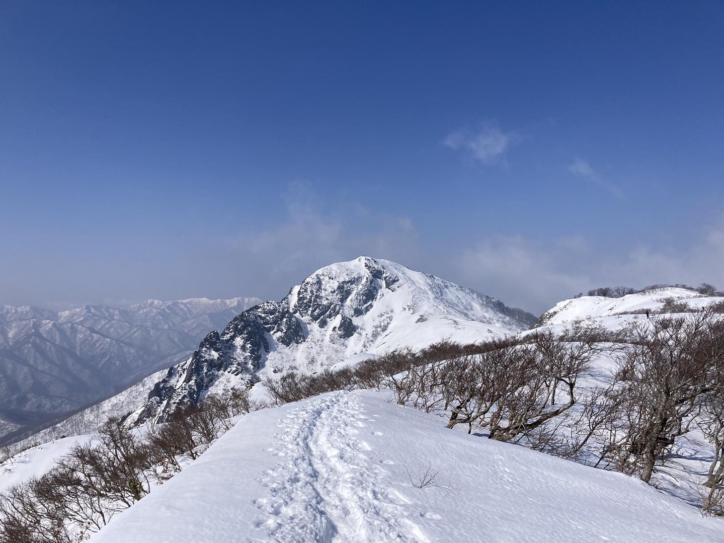 冠山 / SWさんの冠山・金草岳の活動データ | YAMAP / ヤマップ