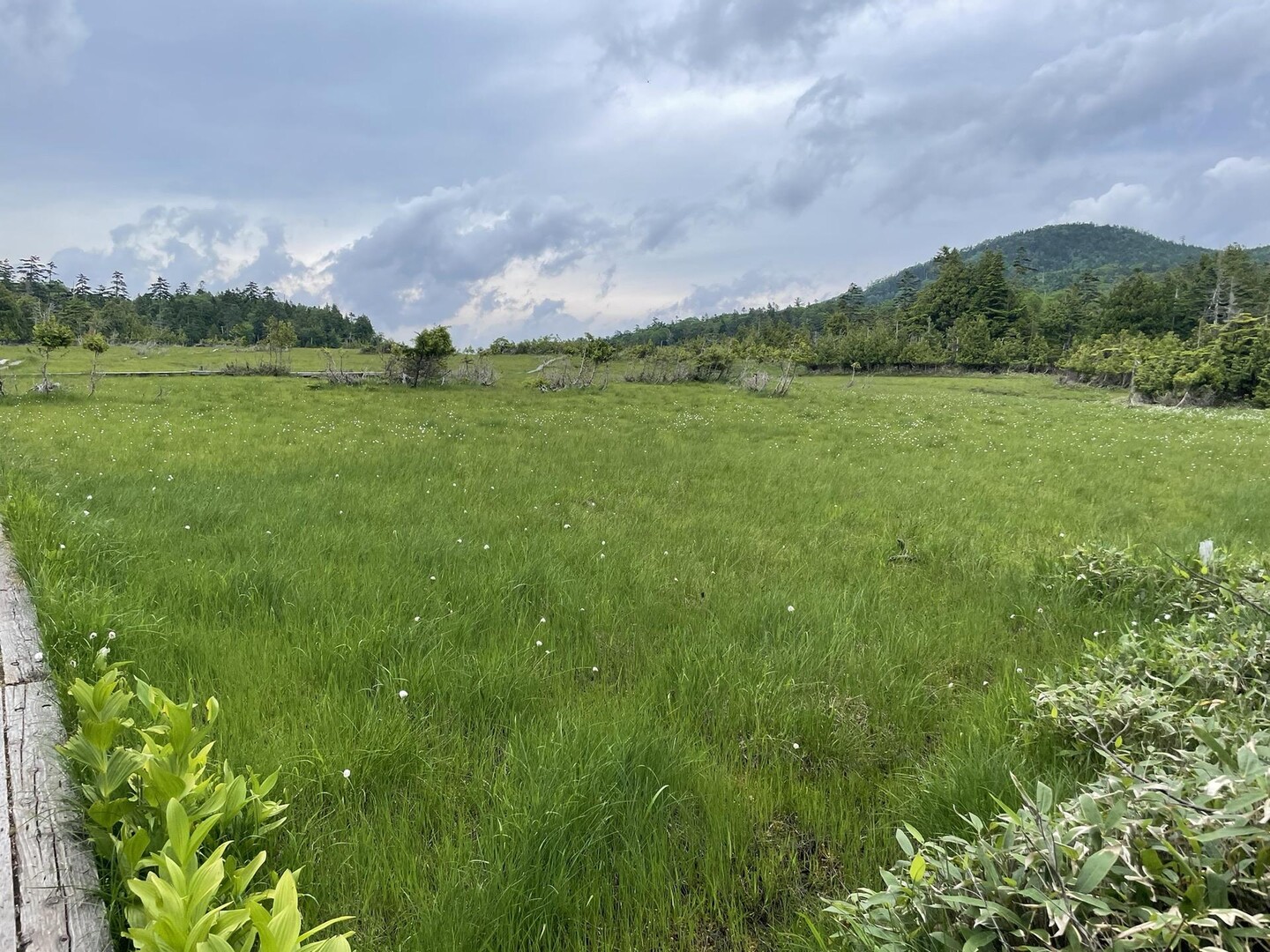 鬼怒沼☁️ / cosoraさんの鬼怒沼山・物見山・黒岩山の活動データ | YAMAP / ヤマップ