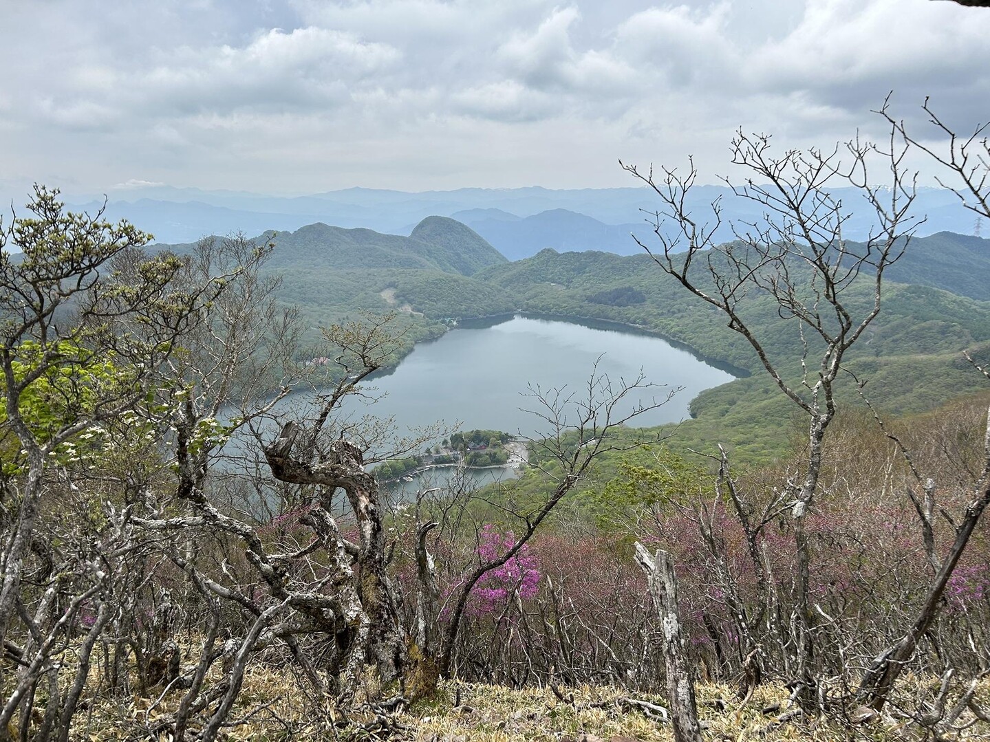 2023/05/25 駒ヶ岳・黒檜山 リベンジ / tea_thank you さんの赤城山・黒檜山・荒山の活動日記 | YAMAP / ヤマップ
