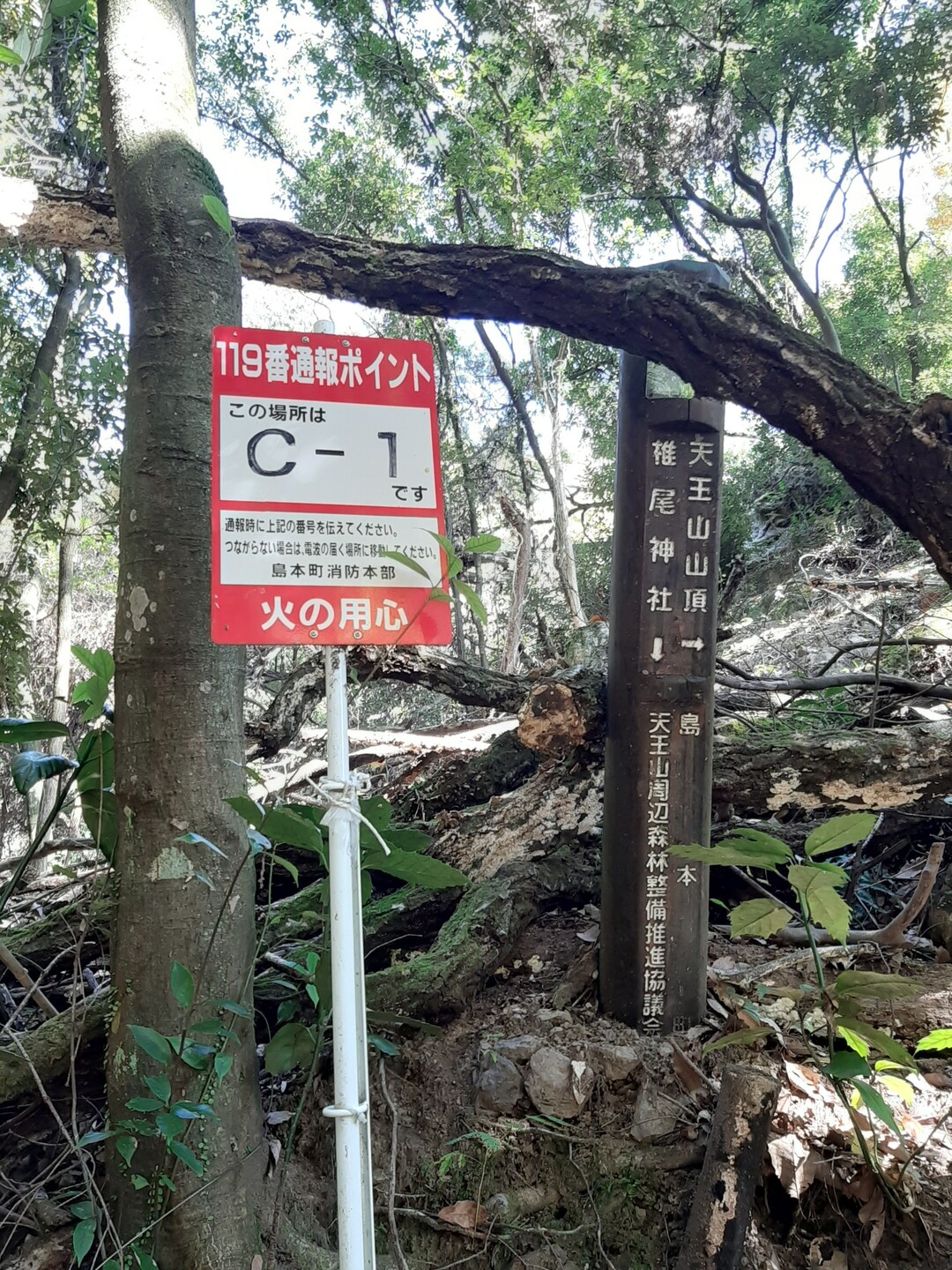 Mr.Kobaさんの投稿したフィールドメモ | YAMAP / ヤマップ