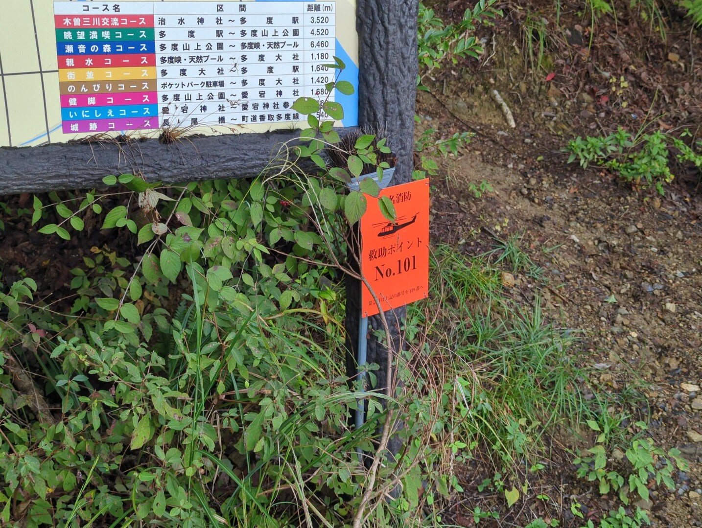 solaさんの投稿したフィールドメモ | YAMAP / ヤマップ