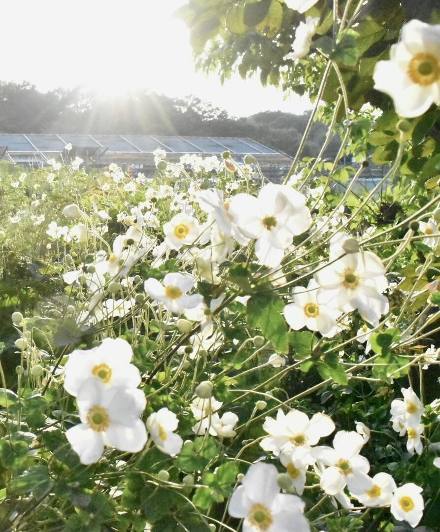 micanのページ | YAMAP / ヤマップ