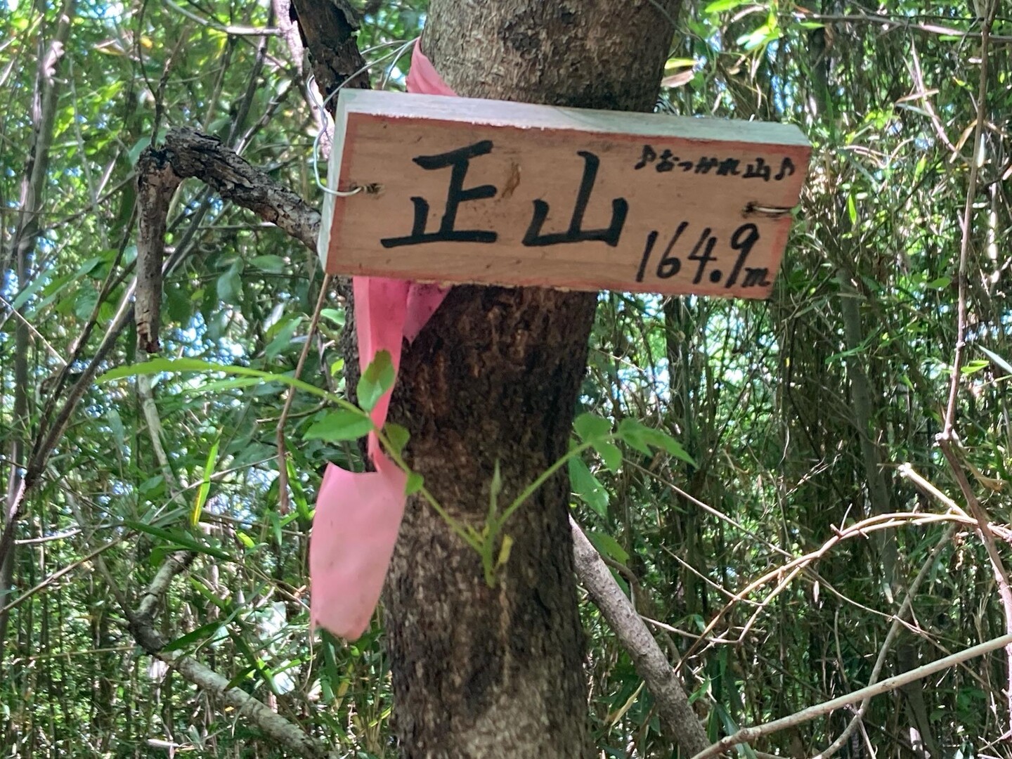 仙元山#246・城山・大日山・物見山・正山#12 / taoさんの武蔵嵐山・大平山・仙元山の活動データ | YAMAP / ヤマップ