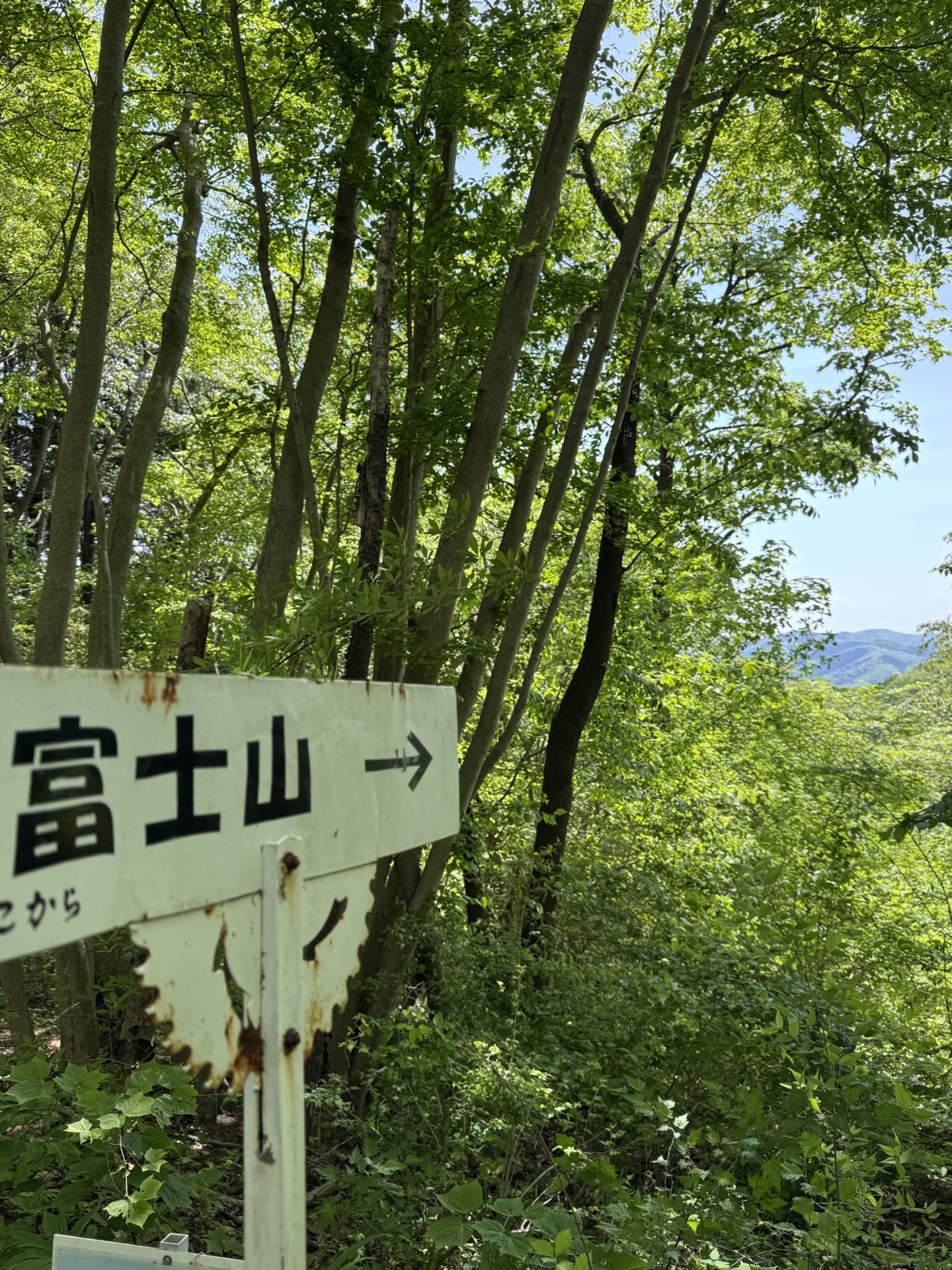 Mt. CHICKEN FOOT🐓 ﾁｮｯｸﾗ trekking 【 May . 5 . 2025 / stephen11_11さんの焼森山 ...