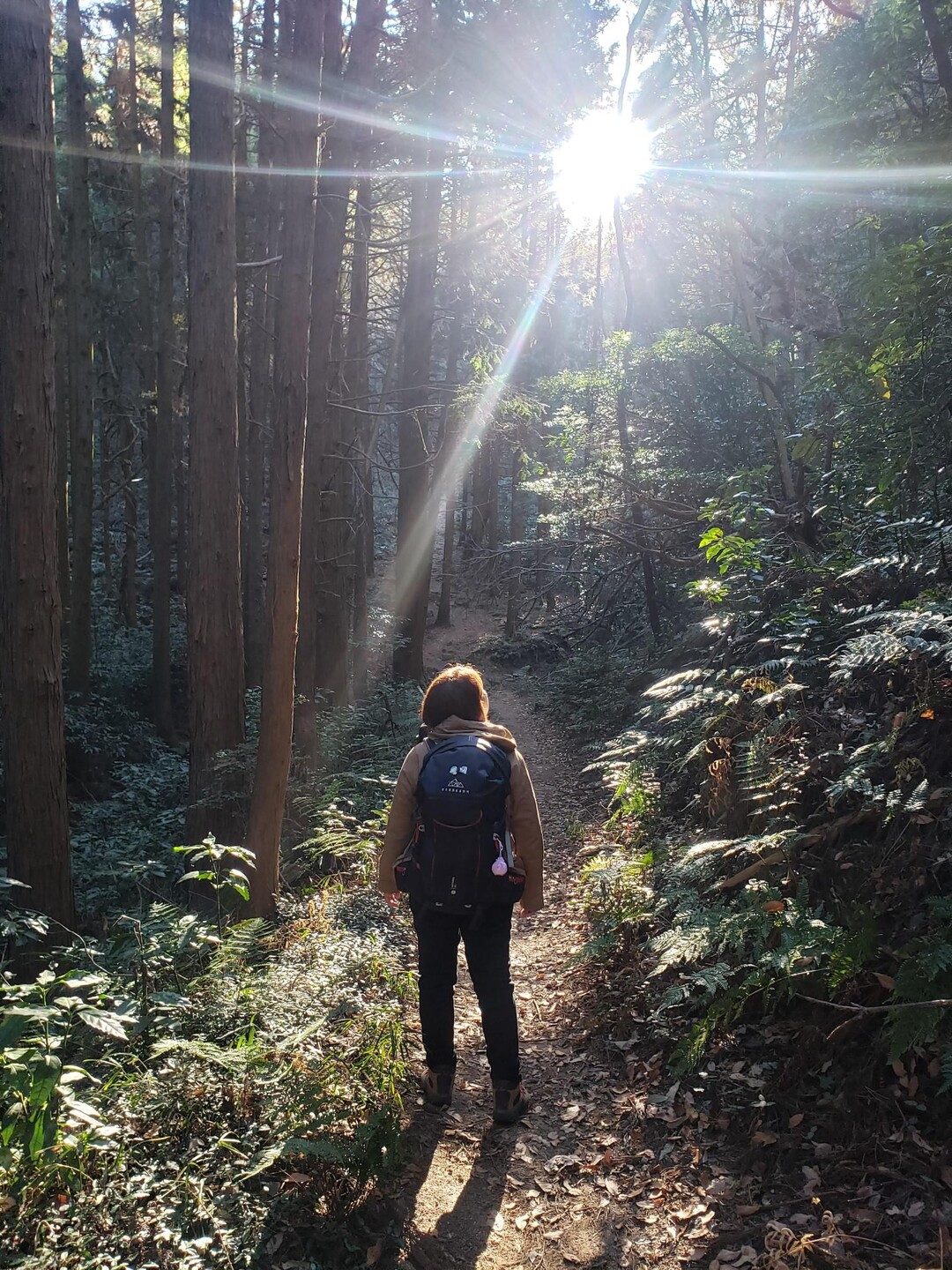 mietyのページ | YAMAP / ヤマップ