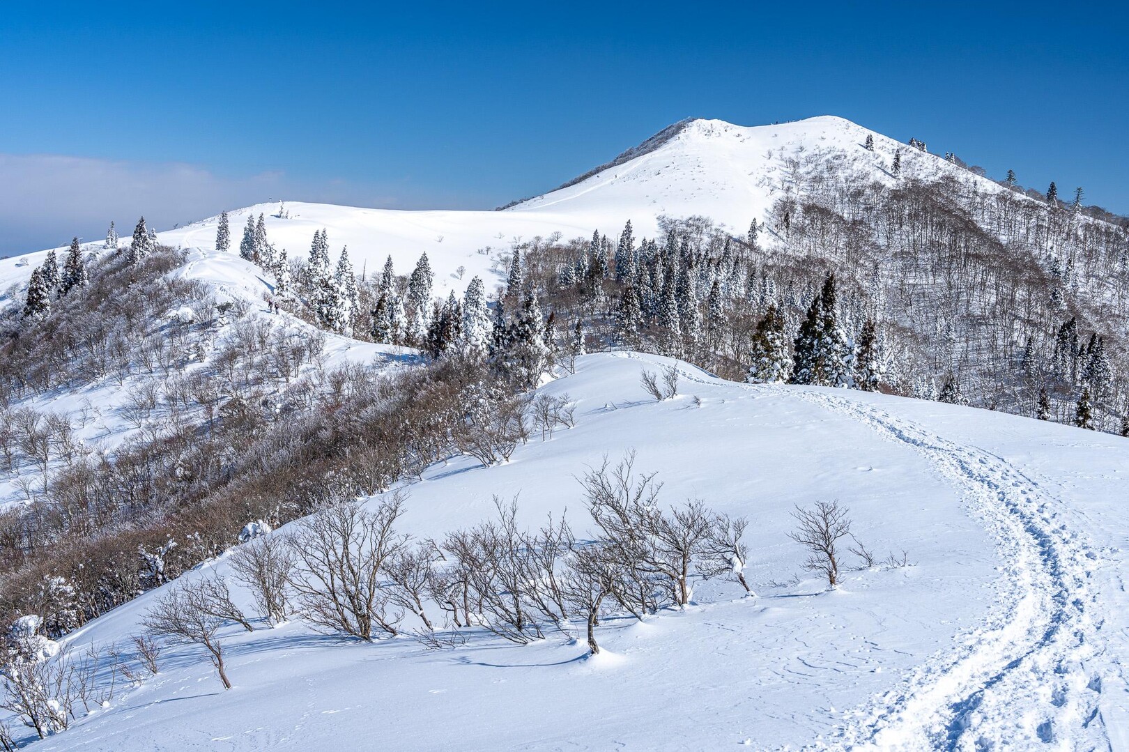武奈ヶ岳 2023-02-04 / tetoさんの比良山地・武奈ヶ岳・釈迦岳の活動データ | YAMAP / ヤマップ