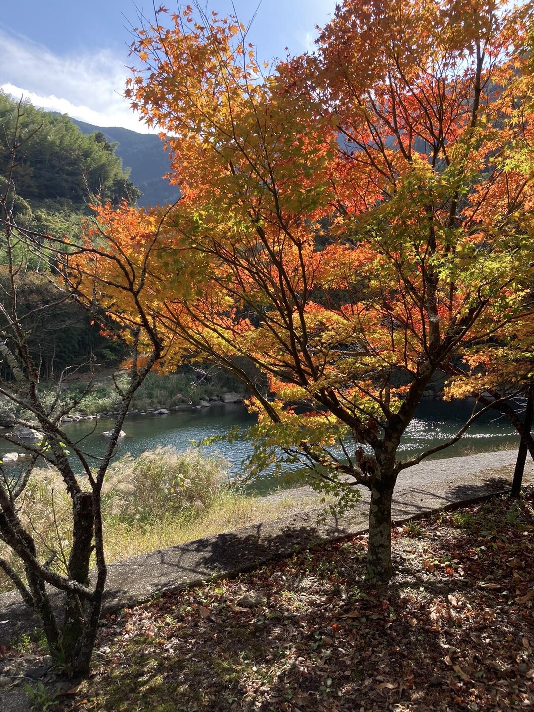 麓から鶴林寺山 / west 7さんの鶴林寺山の活動データ | YAMAP / ヤマップ