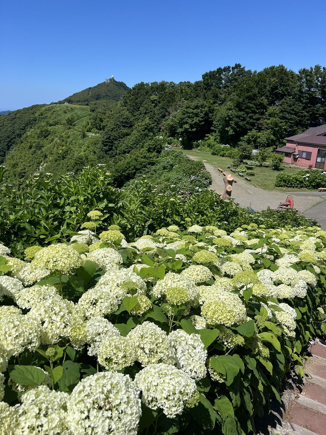 弥彦山から多宝山 / 29sukiさんの弥彦山・多宝山・雨乞山の活動データ | YAMAP / ヤマップ