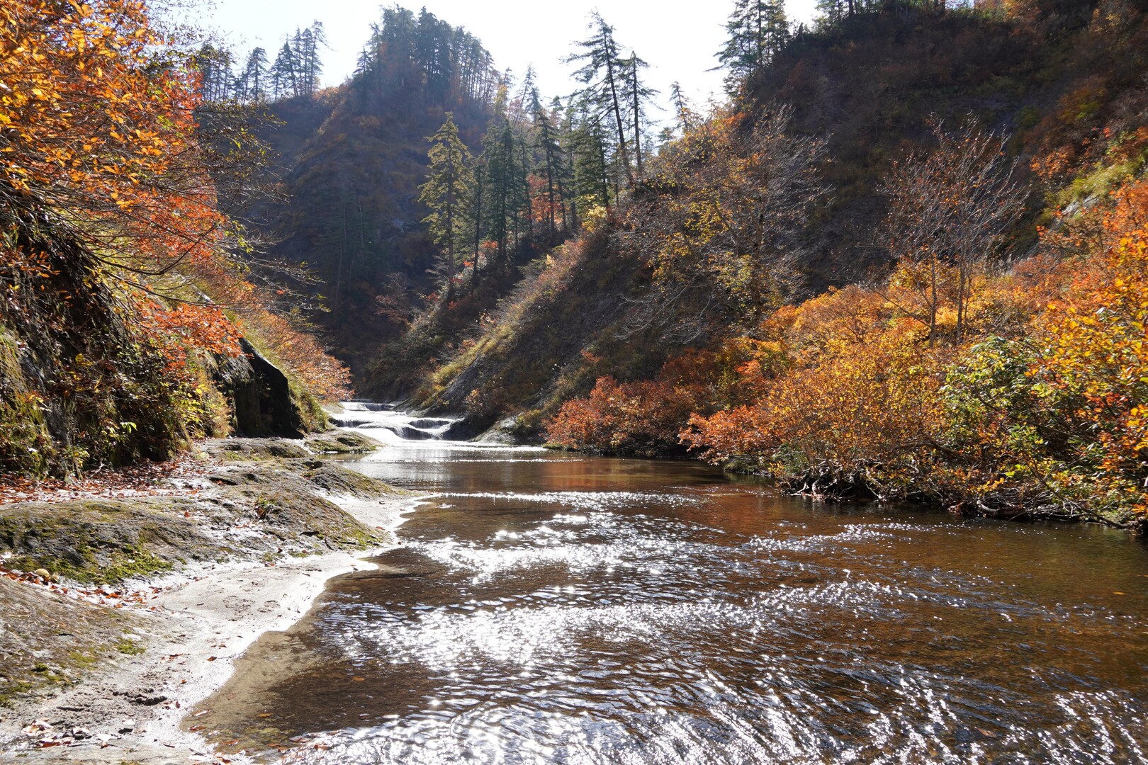 桃洞滝 / mirinさんの森吉山の活動データ | YAMAP / ヤマップ