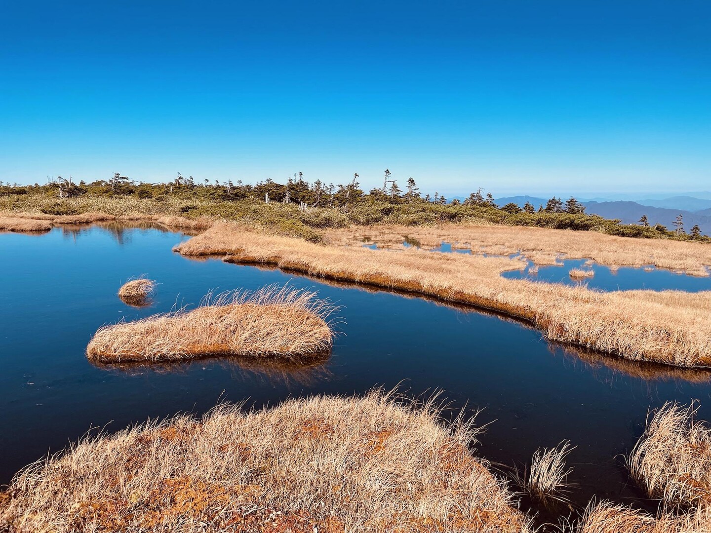 ロングルートの平ヶ岳 / mutsukoさんの平ヶ岳・台倉山・池ノ岳の活動データ | YAMAP / ヤマップ