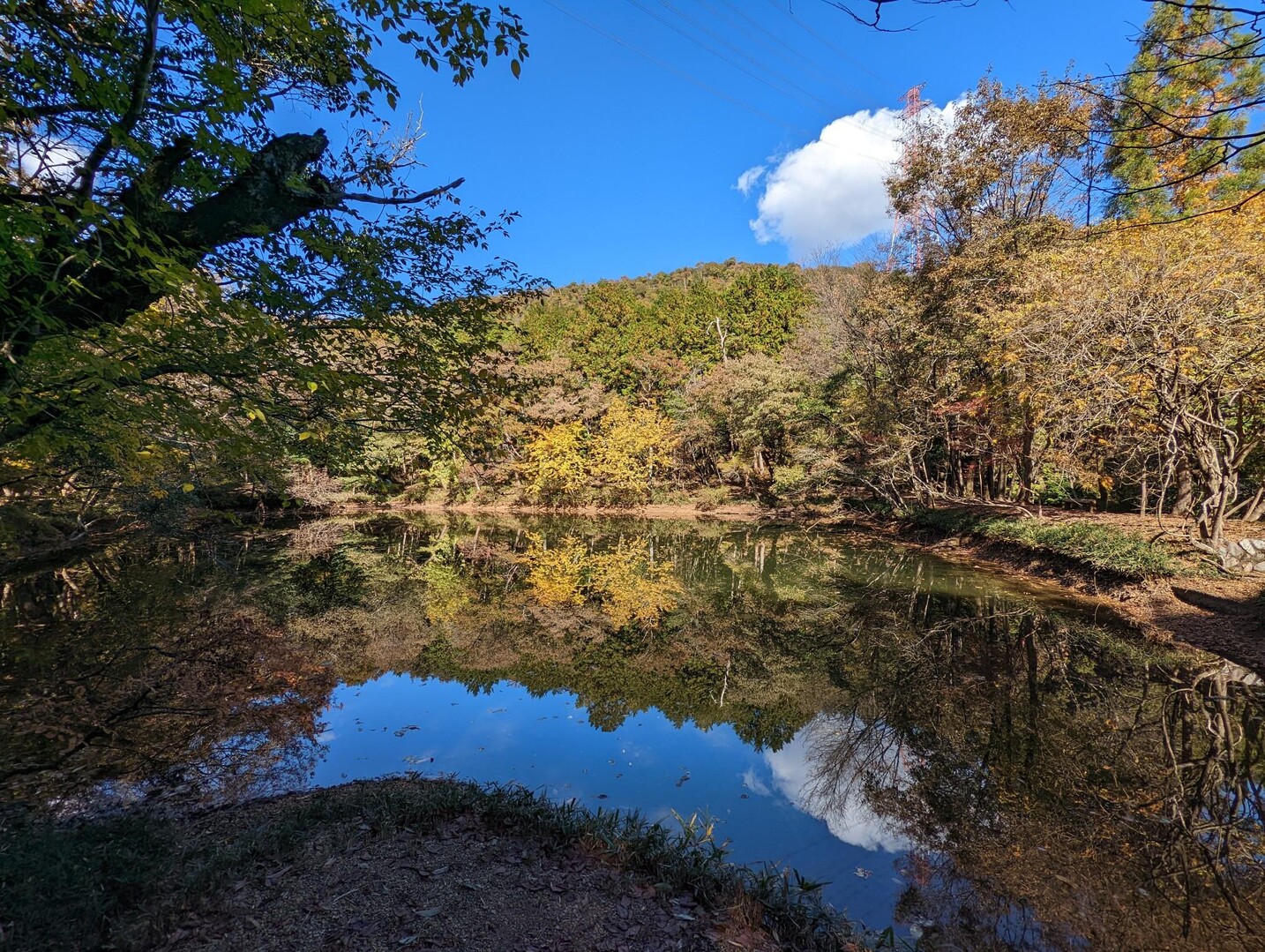 こんな近場に！！ / mktさんの山王山・まるまる山・松尾山の活動データ | YAMAP / ヤマップ