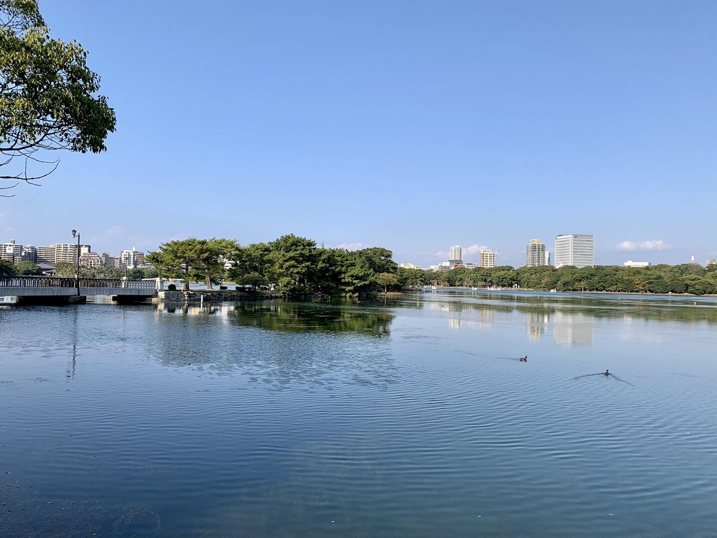 大濠公園・西公園LSD練🏃‍♂️ / yukiさんの【公式】福岡市（防災情報含む）の活動データ | YAMAP / ヤマップ