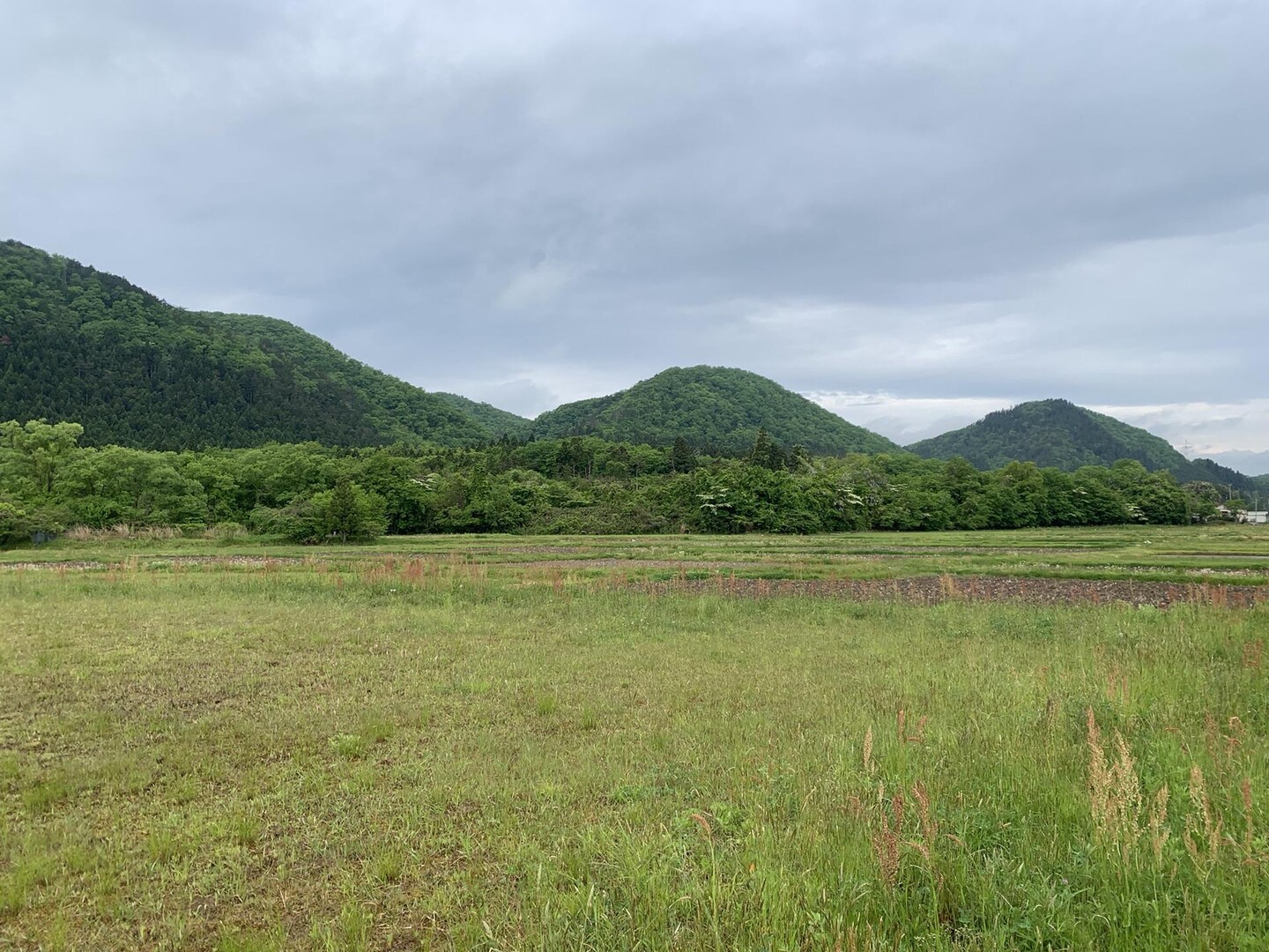 R5.5.14 大森山・小塚山・岩垂山・五郎山・前山・箱倉山（函倉山） / あおかつさんの白沢五山（五ツ森）の活動データ | YAMAP / ヤマップ