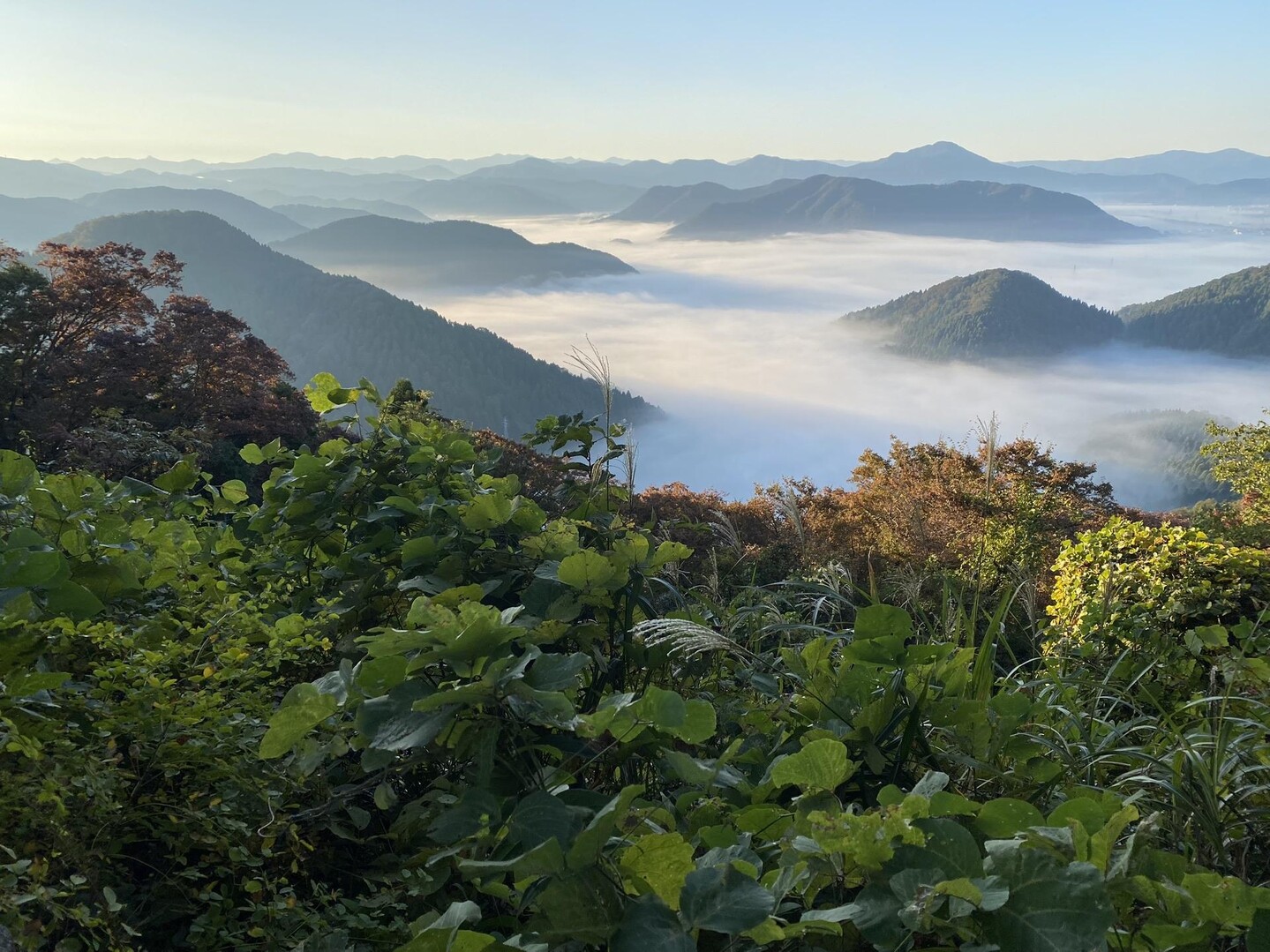文殊山 / mu_mu_muさんの文殊山の活動データ | YAMAP / ヤマップ
