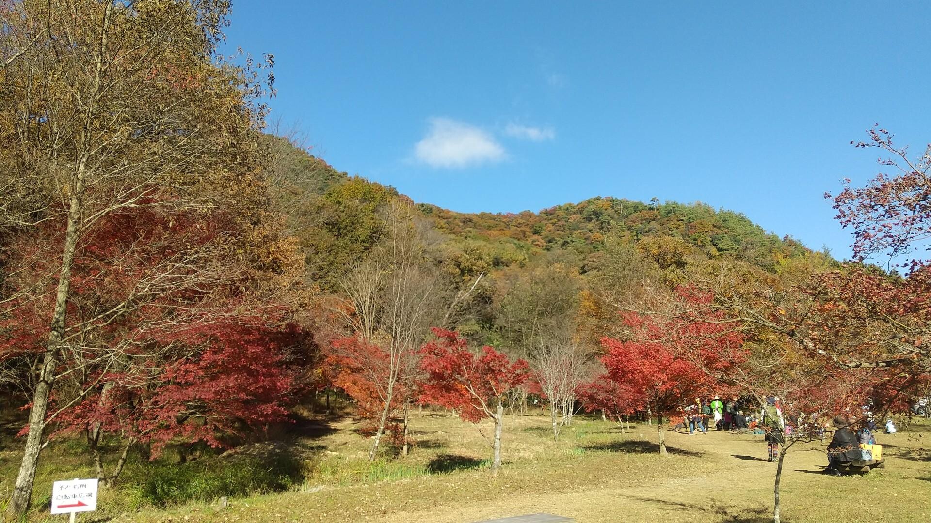 金山 / saiさんの各務原アルプス（関南アルプス）・八木三山の活動データ | YAMAP / ヤマップ