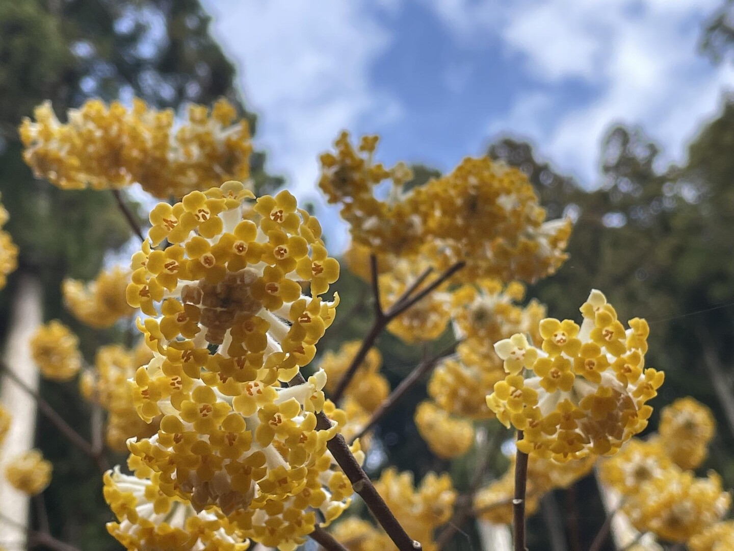高室山-2023-03-21 / ささまんさんの高室山の活動データ | YAMAP / ヤマップ