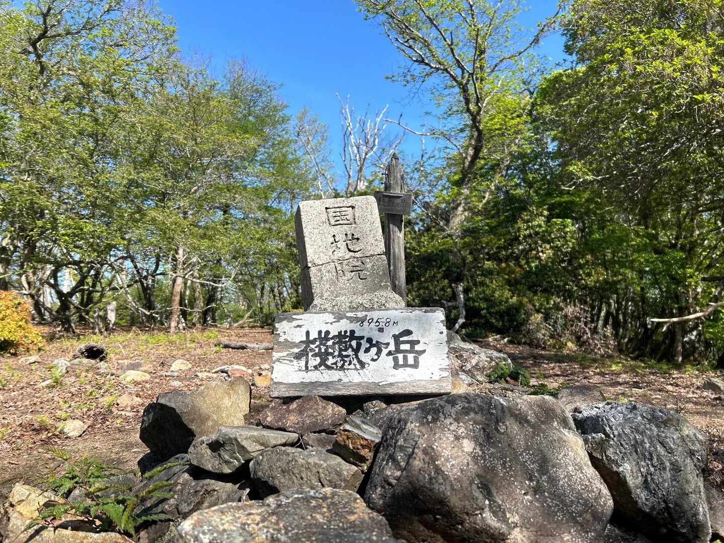 桟敷ヶ岳・岩茸山 / Madelineさんの桟敷ヶ岳・飯森山・天童山の活動データ | YAMAP / ヤマップ