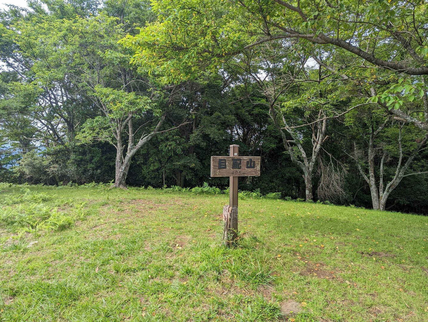 目配山・小鷹城山 / shinta_1117さんの目配山の活動データ | YAMAP / ヤマップ